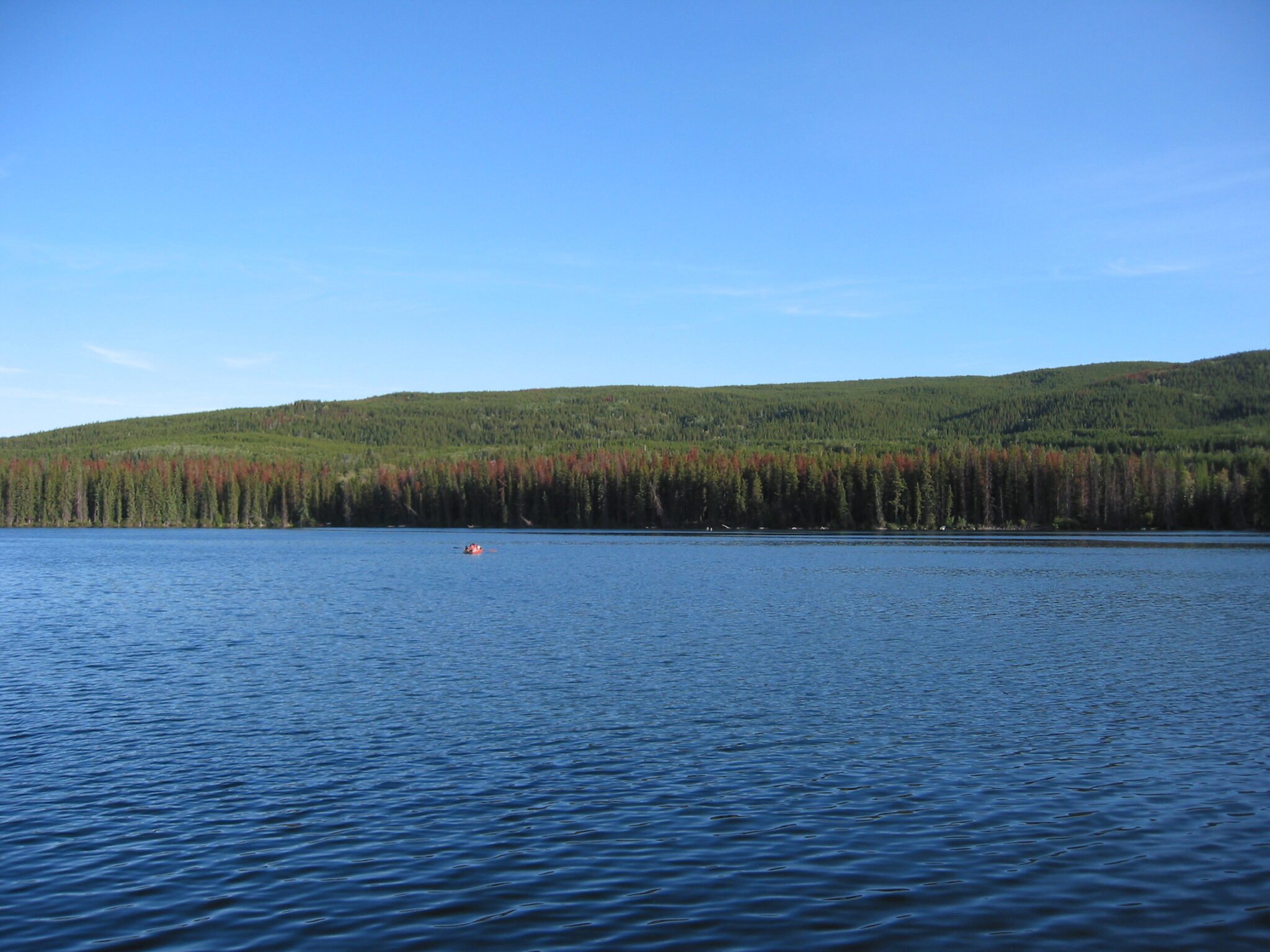 Lac Le Jeune - Life In Our Community: Lac Le Jeune - book excerpt: The ...