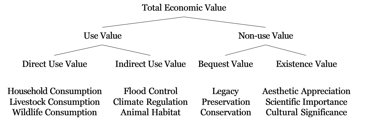 Paul Lake – The Value of Lakes Around the Secwépemc Territory